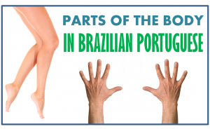 Parts of The Body in Portuguese - Vocabulary