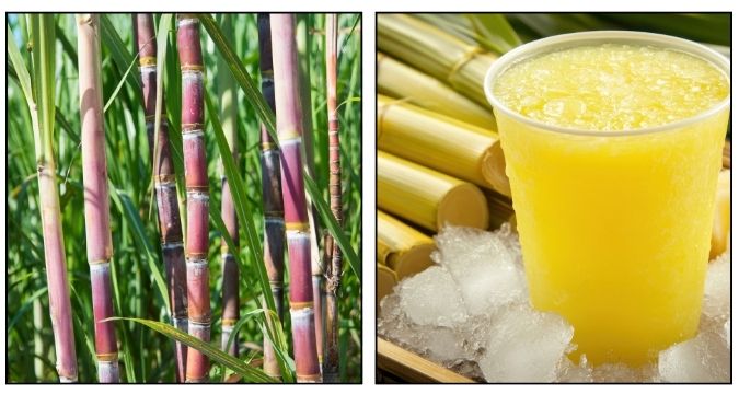 The Ultimate Guide to Brazilian Food: 27 Iconic Must-Try Foods ...